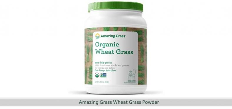 10 Best Wheatgrass Powder Brands To Buy In 2026 - Product Reviews
