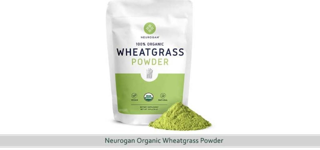 10 Best Wheatgrass Powder Brands To Buy In 2026 - Product Reviews