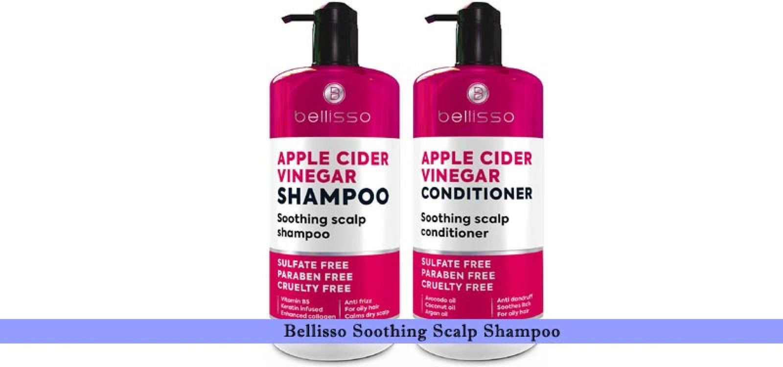 10 Best Antifungal Shampoos For Humans In 2026