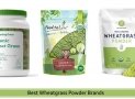 10 Best Wheatgrass Powder Brands To Buy In 2020 - Product Reviews
